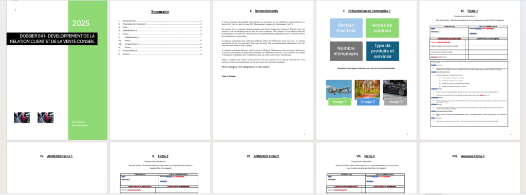 Pack Dossiers E5(E41) et E6(E42) - BTS MCO - MLESW