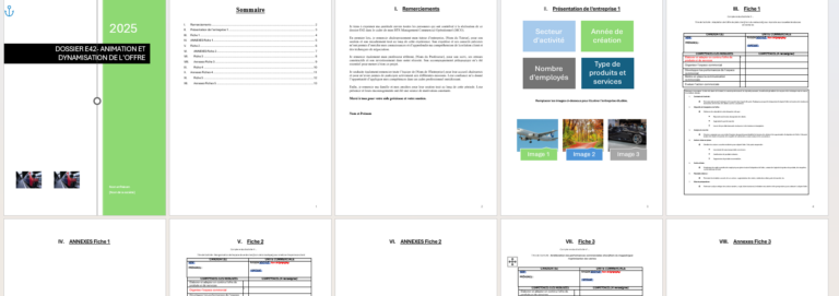 Dossier E6 (E42) - ADOC - BTS MCO - MLESW