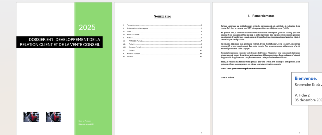 Dossier E5 (E41) - DRCV - BTS MCO - MLESW
