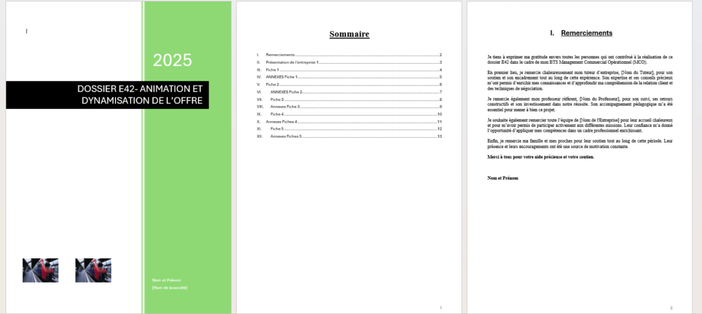 Dossier E6 (E42) - ADOC - BTS MCO - MLESW