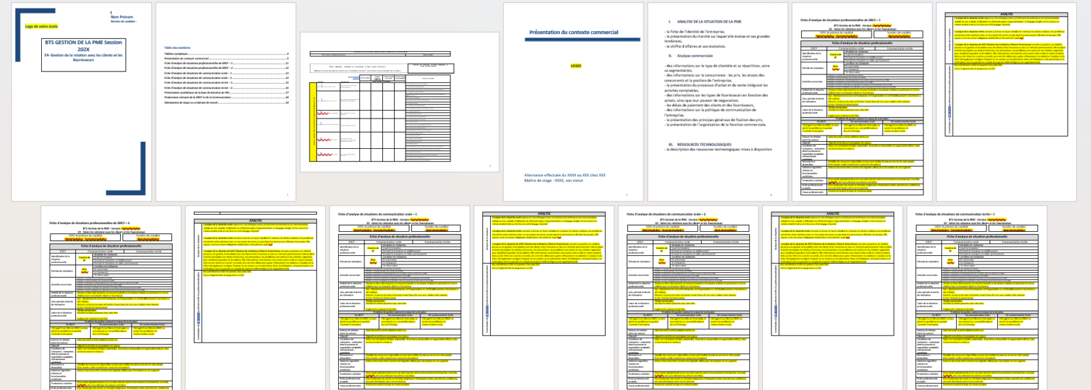 Dossier E4 BTS GPME - MLESW