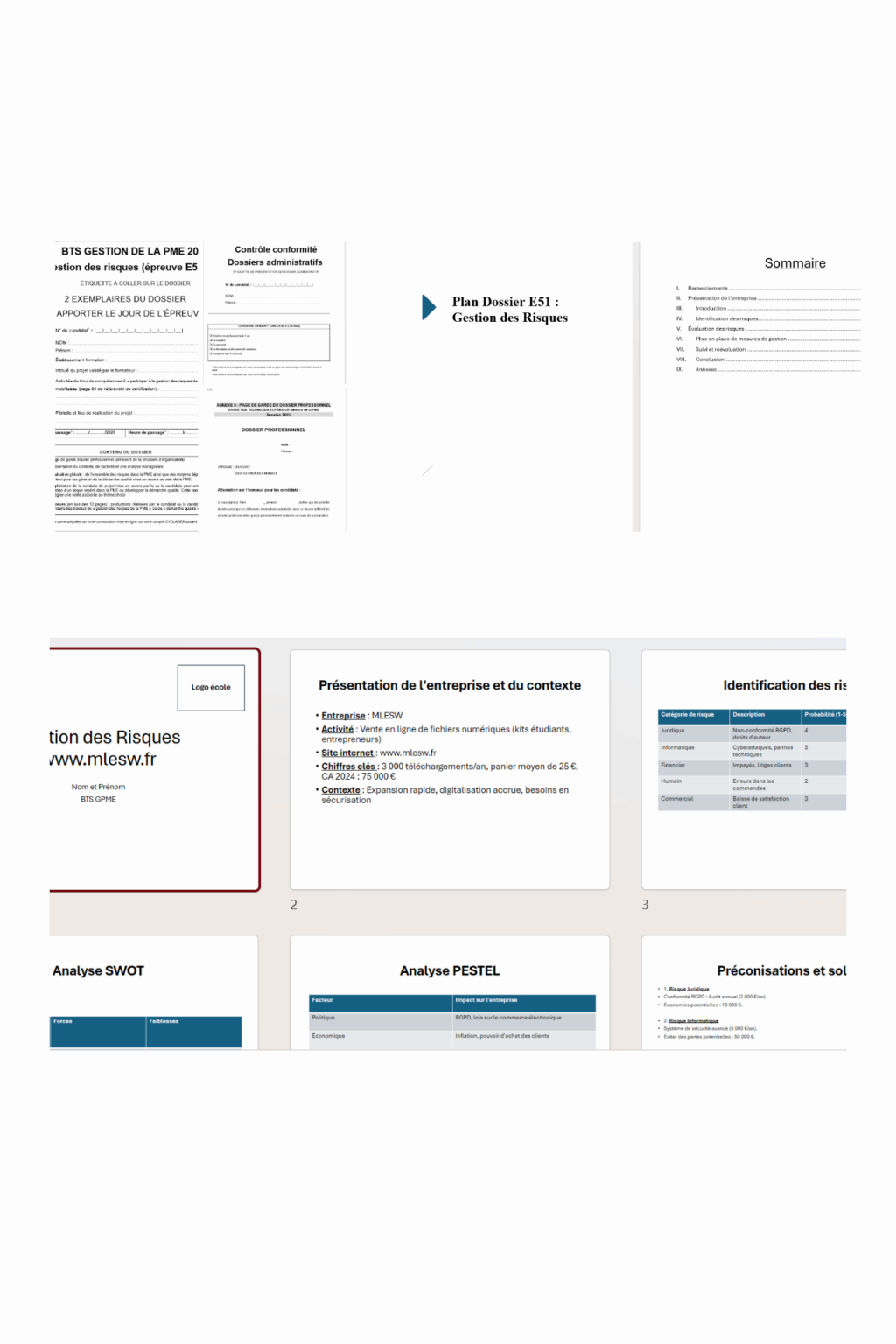 Dossier E51 Gestion des risques - BTS GPME - MLESW