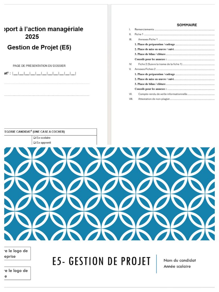 Pack Dossier et Présentation - Gestion de Projet (E5) - BTS SAM - MLESW