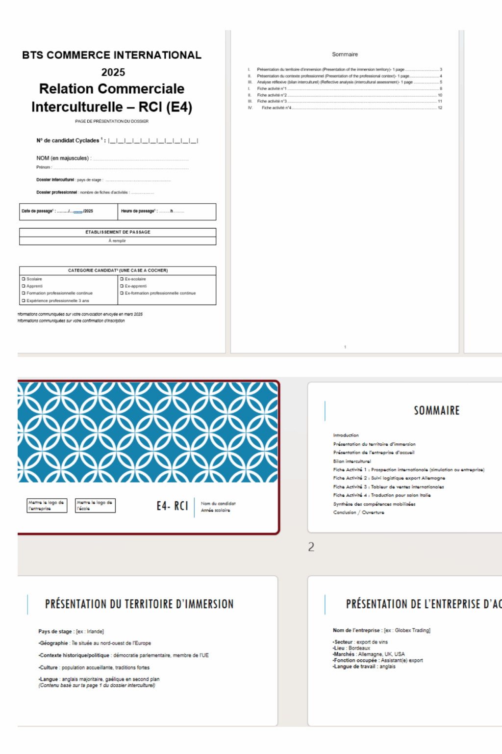 Dossier E4 BTS Commerce International - MLESW